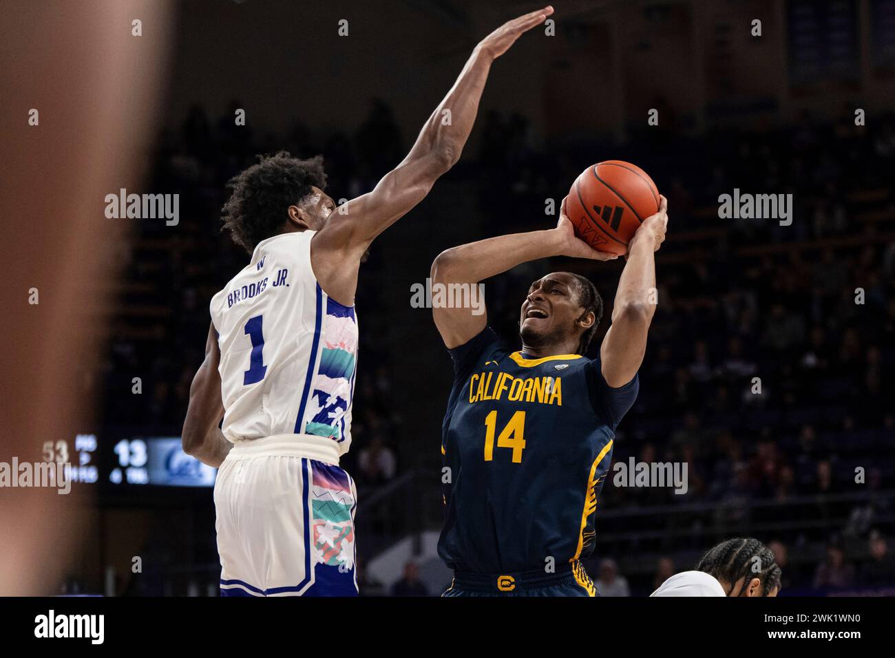 California forward Grant Newell shoots against Washington forward Keion ...