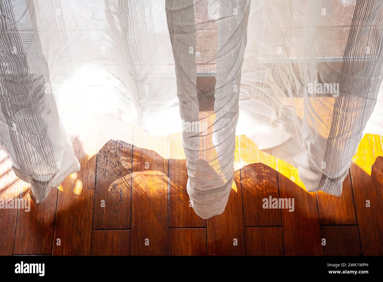 Curtain curtains translucent window hi-res stock photography and images ...