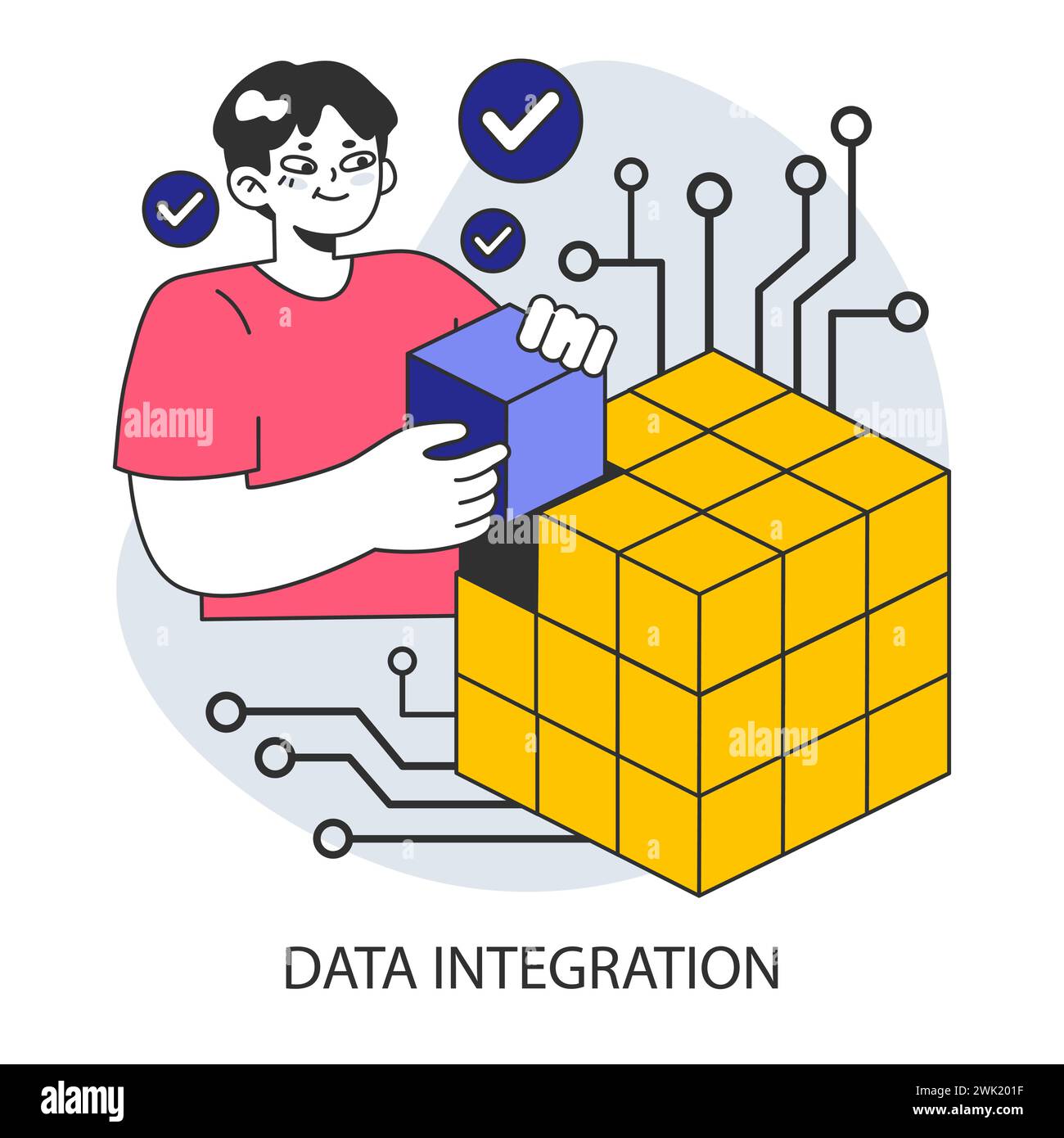Data Integration Seamless Incorporation Of Data Elements Into A Cohesive System Representation