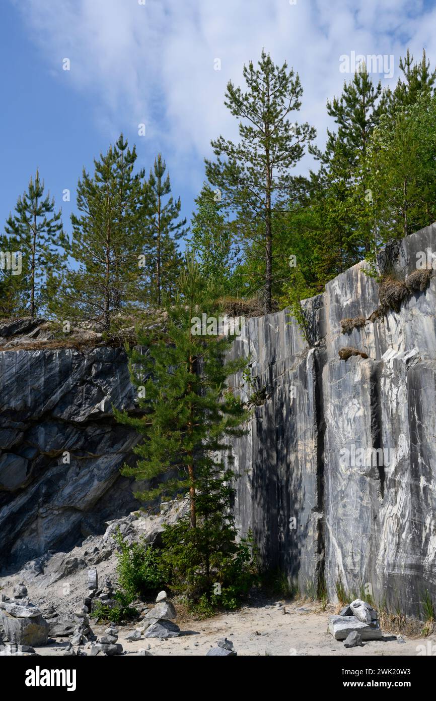 Pine trees on top of a marble cliff in old quarries in the Ruskeala ...