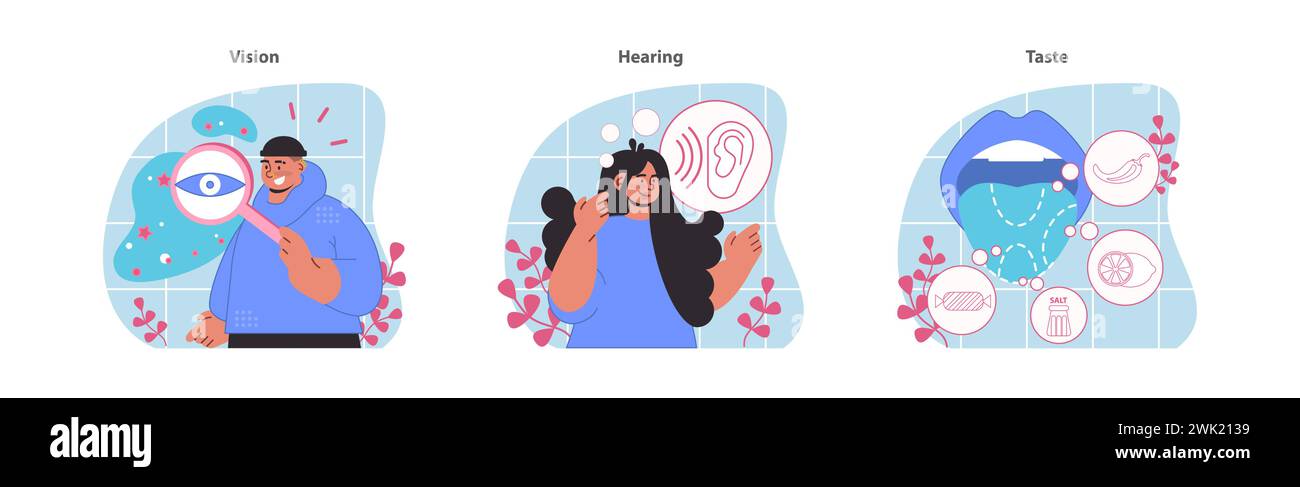 Exploring senses set. Visual, auditory, and gustatory systems in focus ...