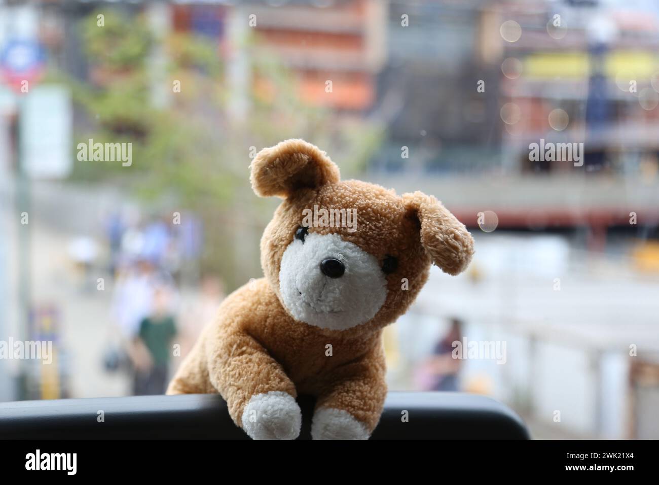 Plush toy display hi-res stock photography and images - Alamy