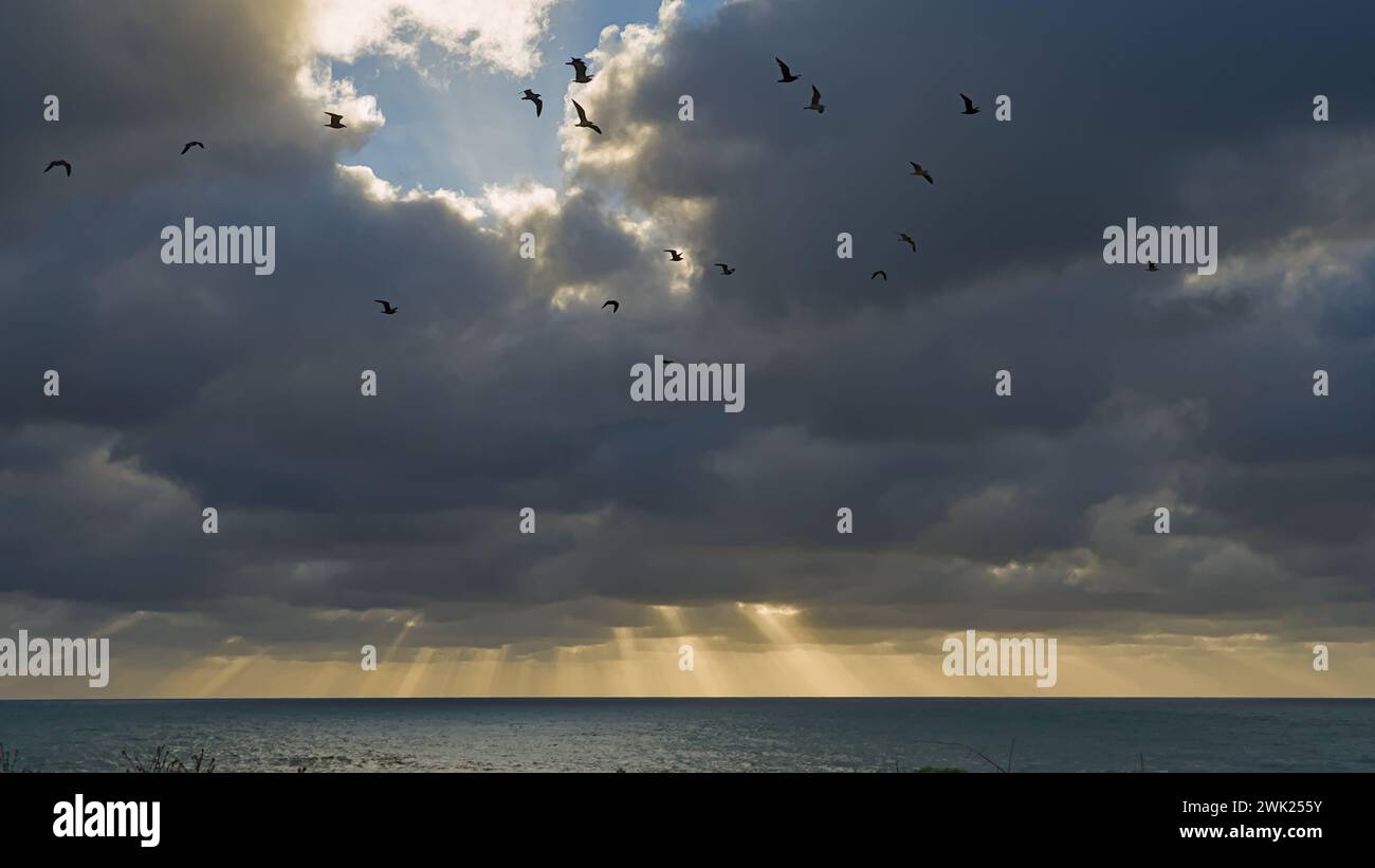 Sea coastline under clouds hi-res stock photography and images - Alamy