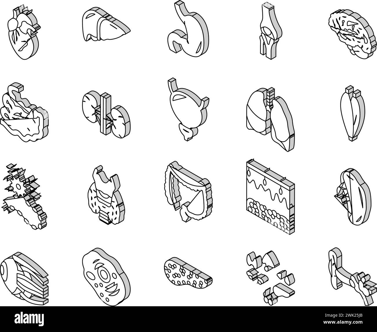 Human Internal Organ Anatomy Isometric Icons Set Vector Stock Vector