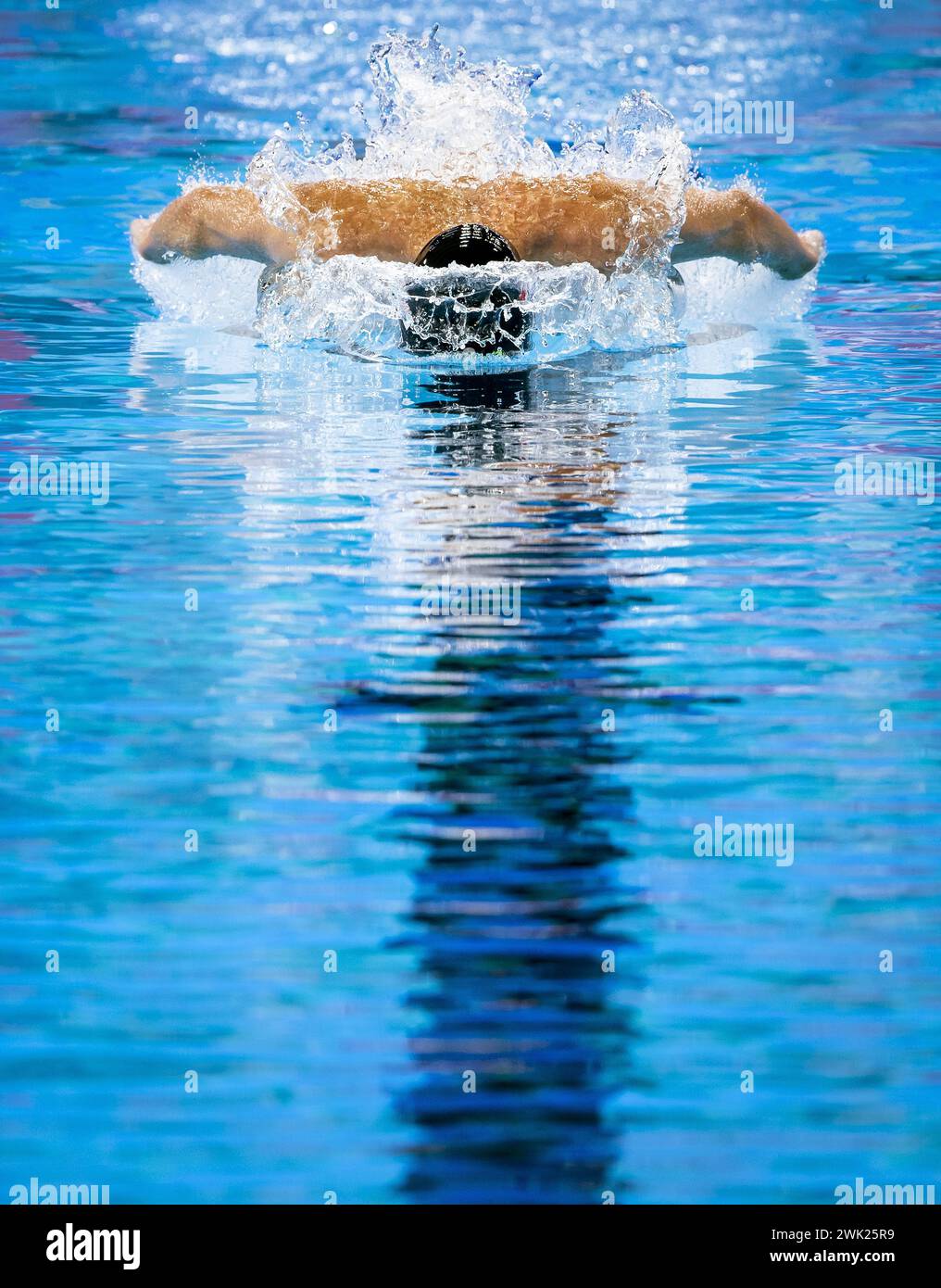 DOHA - Thomas Jansen in action in the men's 400 medley during the last ...