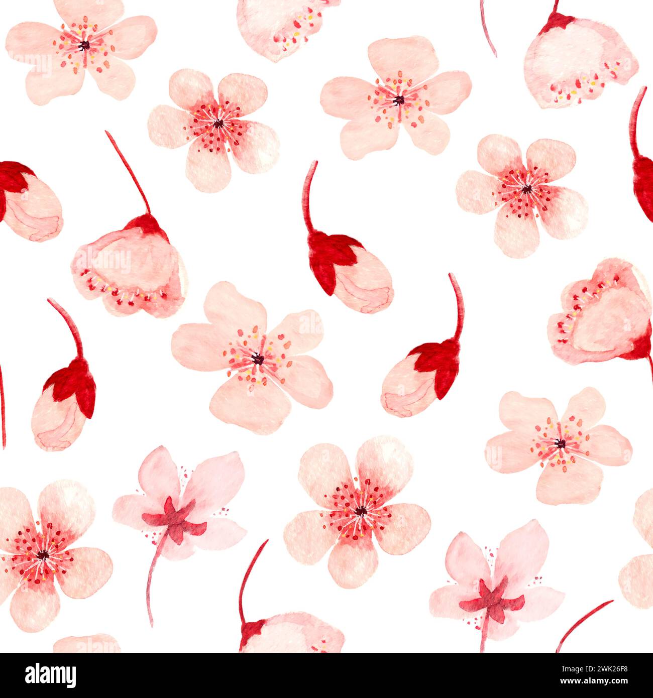 Pink flowers iisolated on white background in a pretty pattern ...