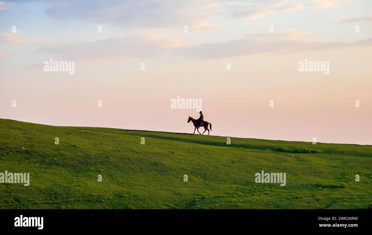 A horseback rider galloping on a scenic coastal hill Stock Photo - Alamy