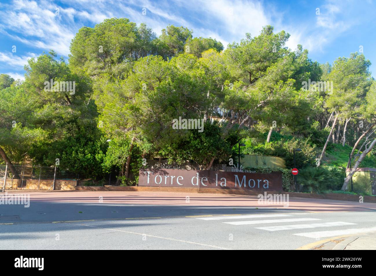 Mora tree hi-res stock photography and images - Alamy