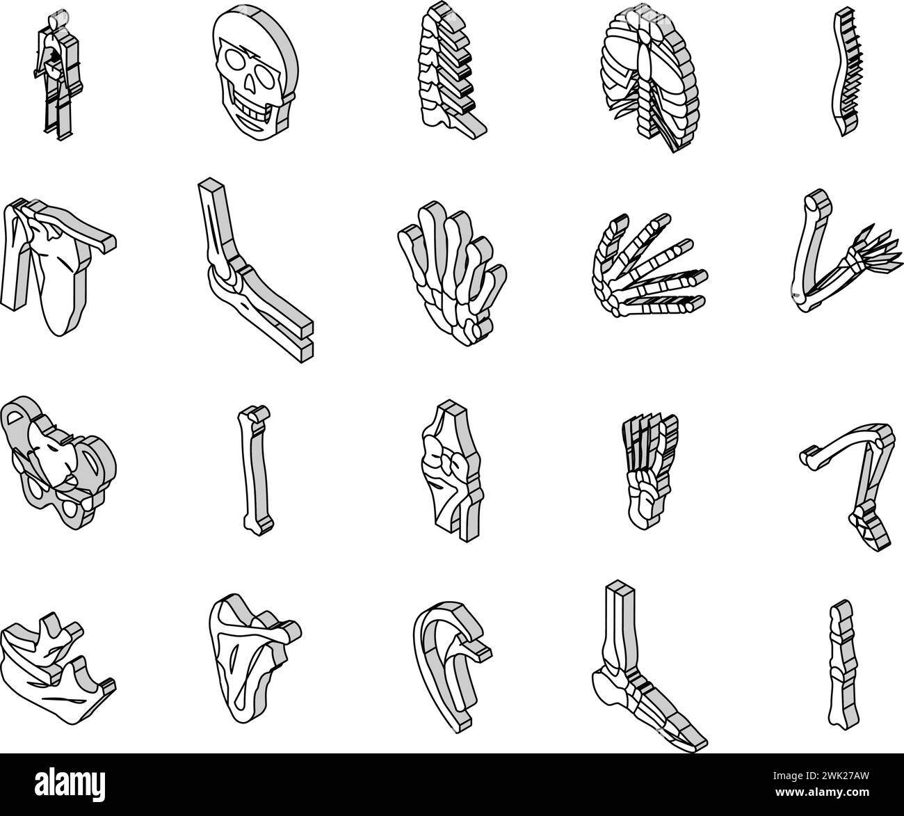 Bone Human Skeleton Structure Isometric Icons Set Vector Stock Vector