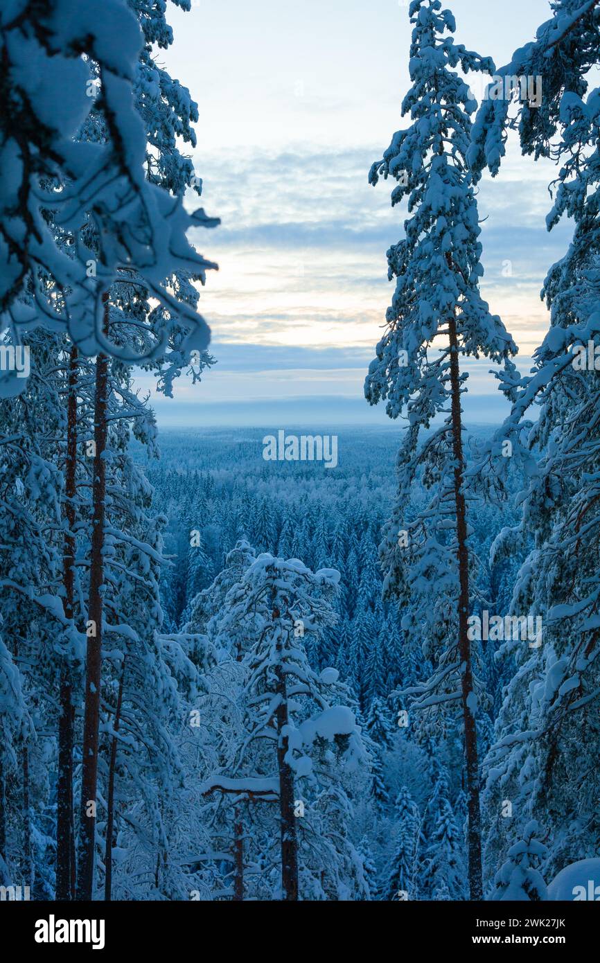 Edgy female model with piercings, beanie and blond hair. Dark tones and ...