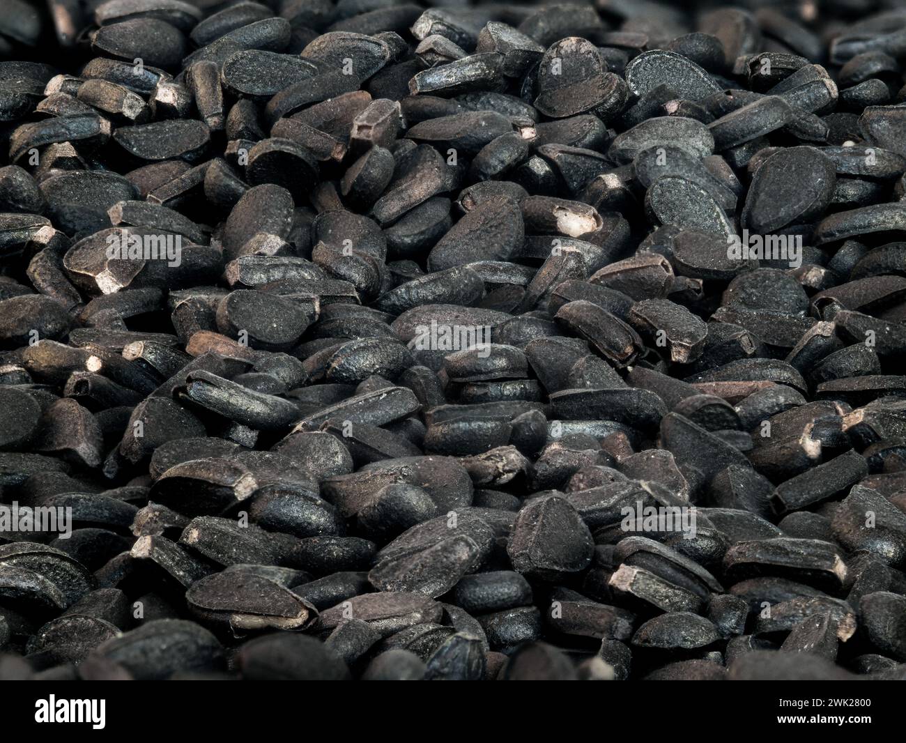 Macro photography of black sesame Stock Photo - Alamy