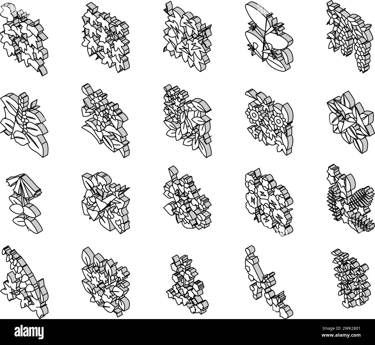 Vine Liana Exotic Growing Plant isometric icons set vector Stock Vector ...