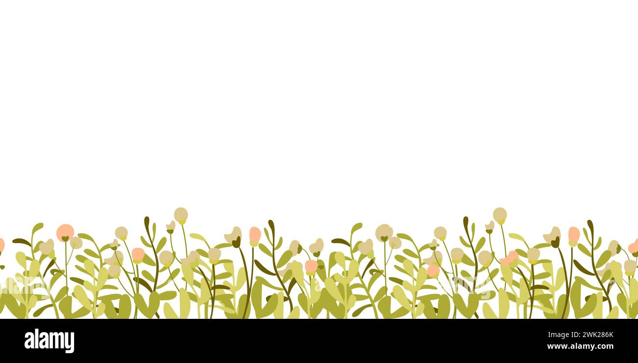 Botanical seamless pattern hand drawn. White background with plant ...