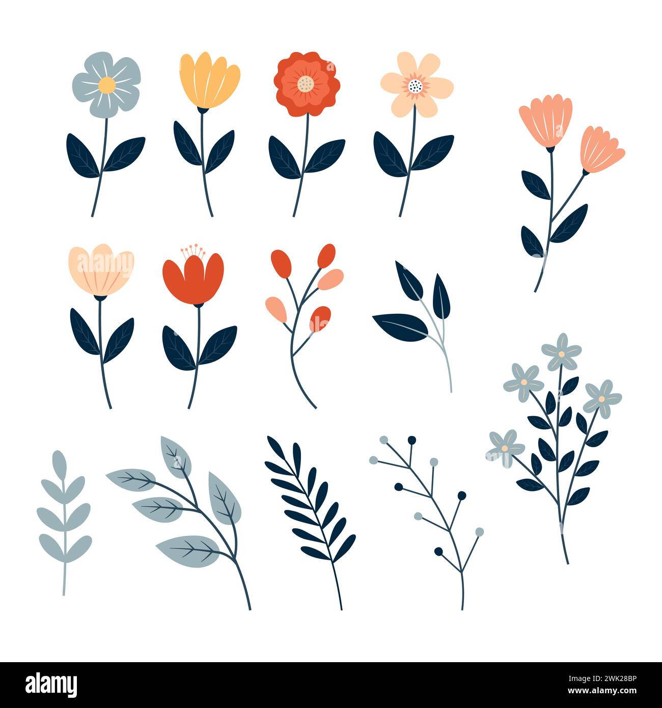 Hand drawn flowers and plants vector collection Stock Vector Image ...