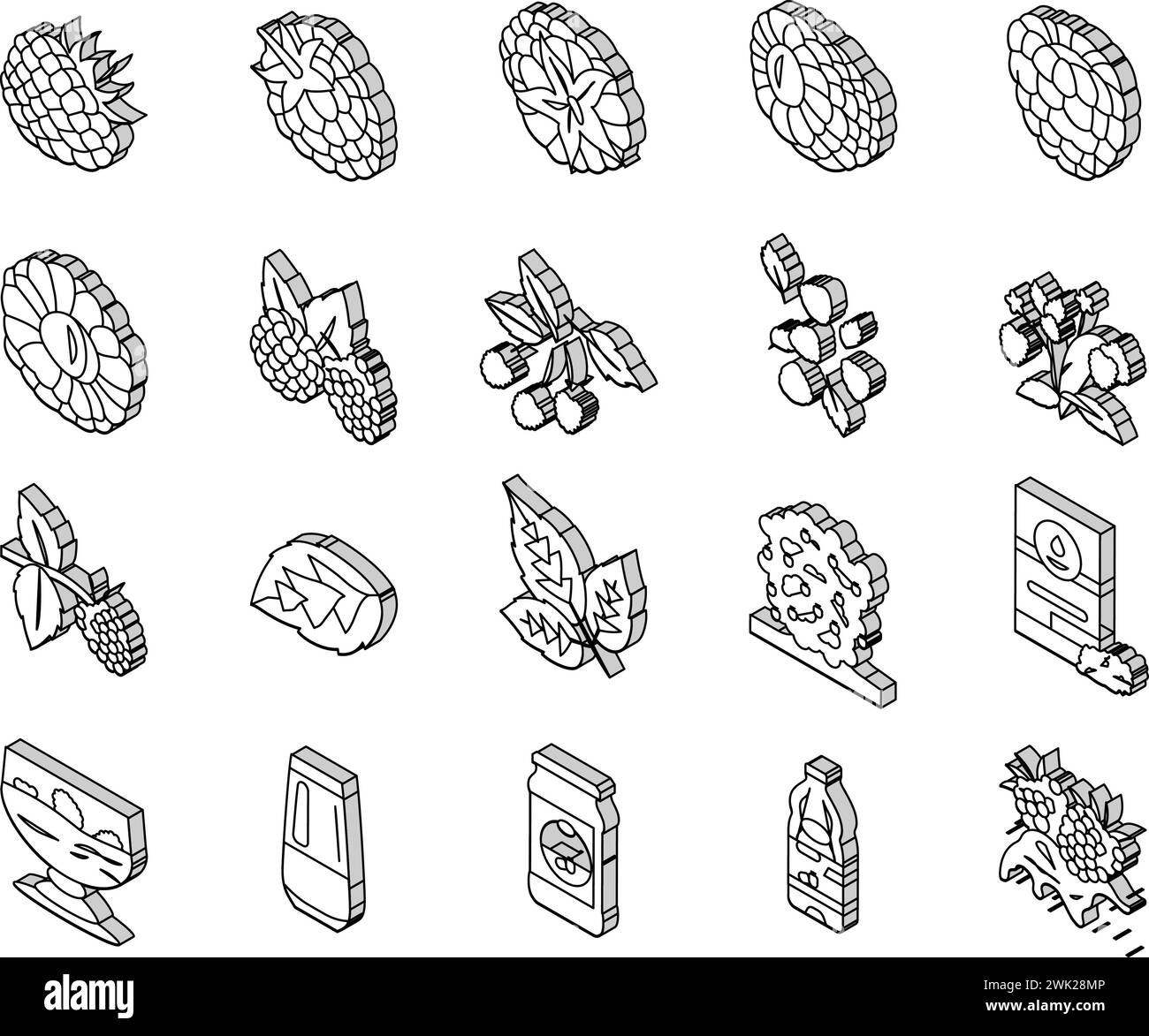 raspberry fruit berry red food isometric icons set vector Stock Vector ...