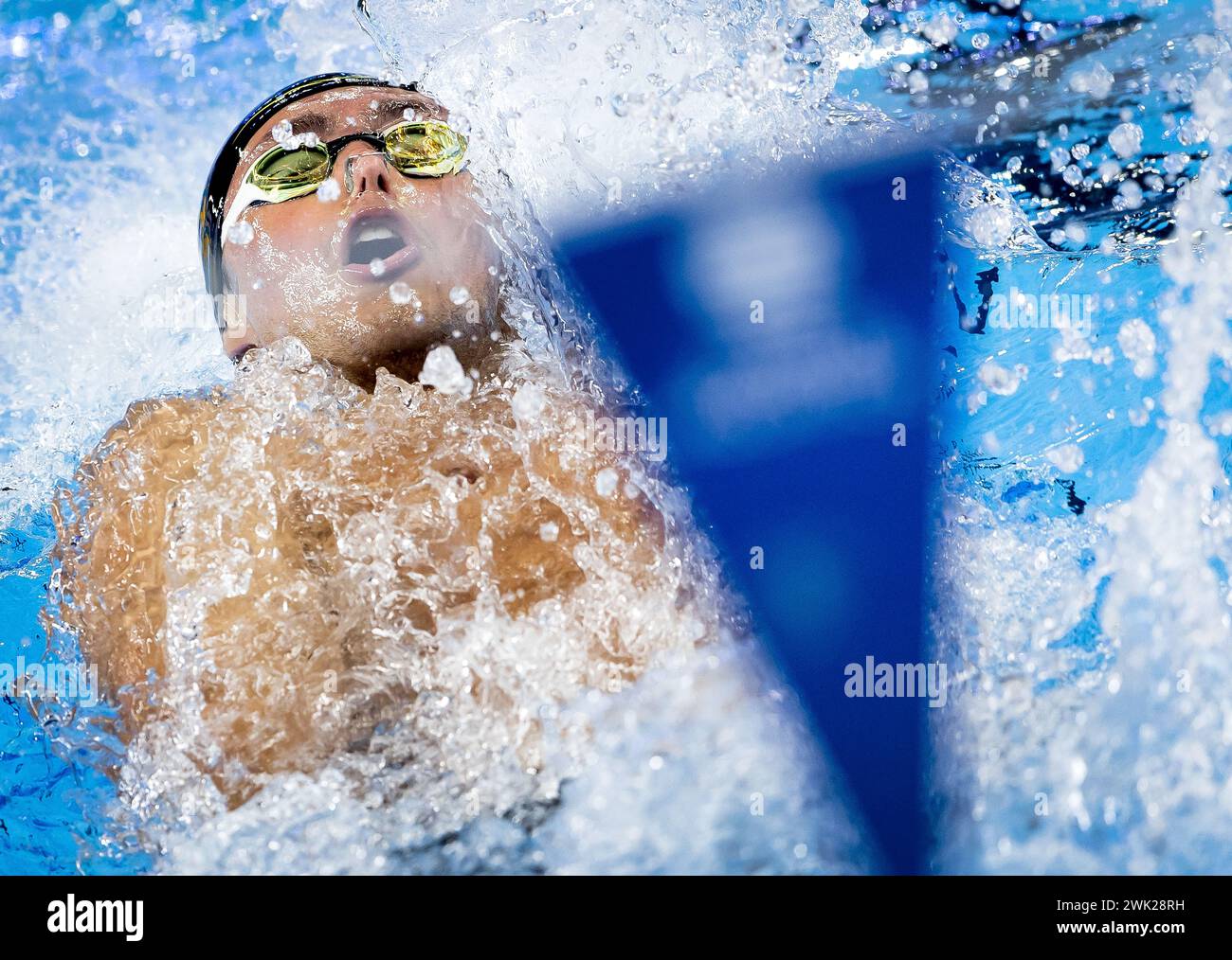 DOHA - Kai van Westering in action in the men's 4 x 100 medley during ...