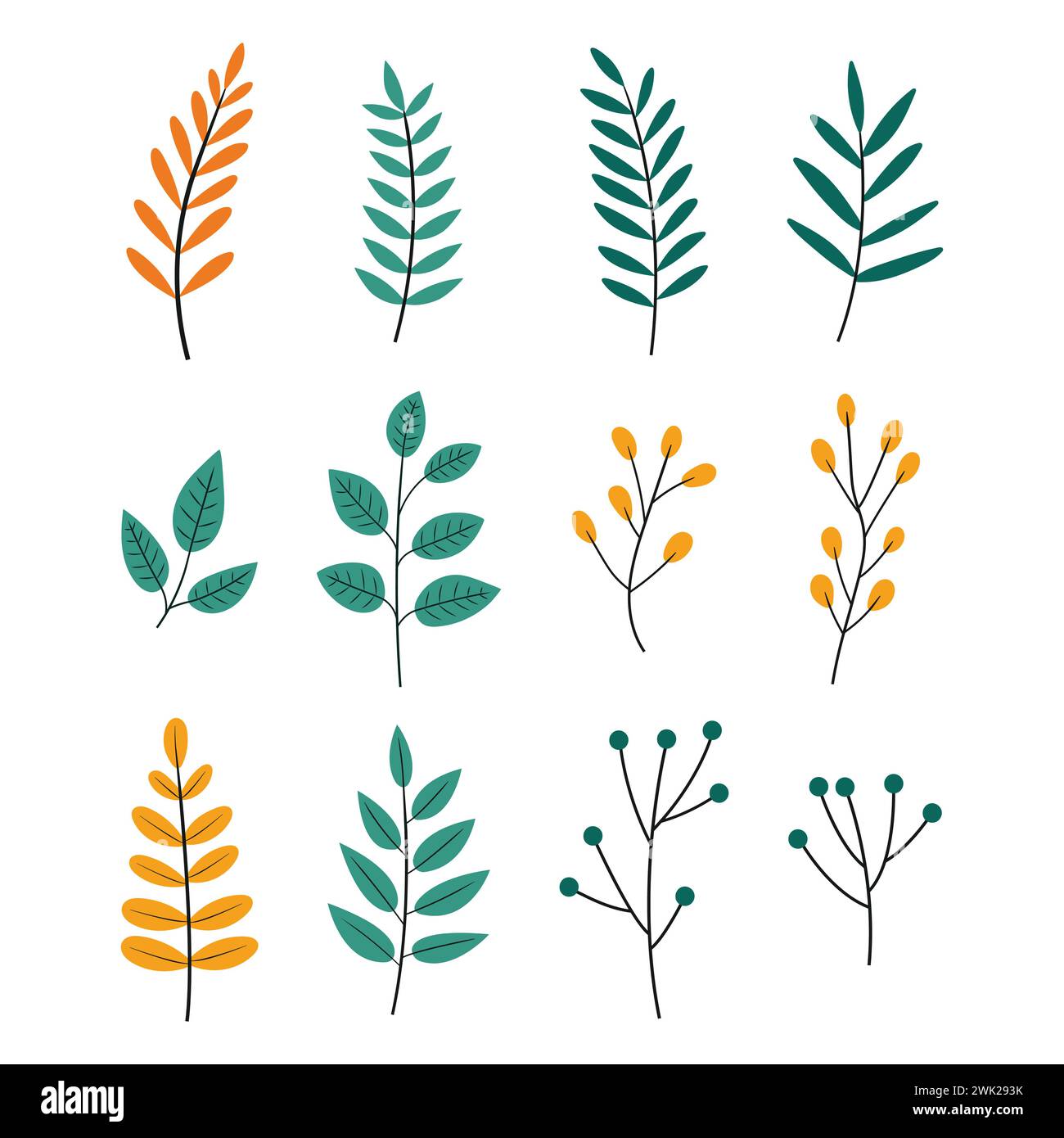 Abstract foliage collection botanical Stock Vector Images - Alamy