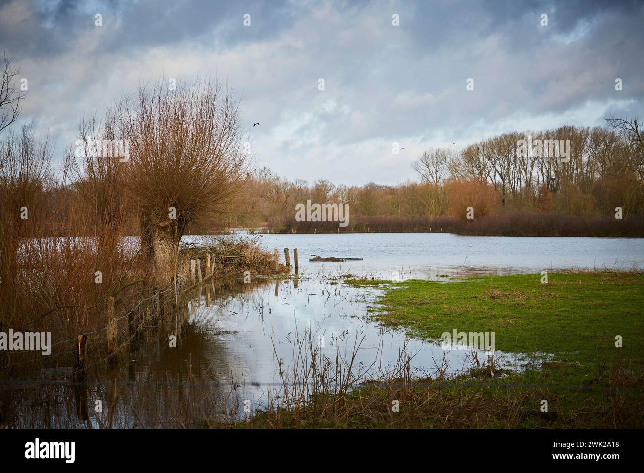 Hochwasser in Lippstadt und Umgebung, Überschwemmung der Lippewiesen ...