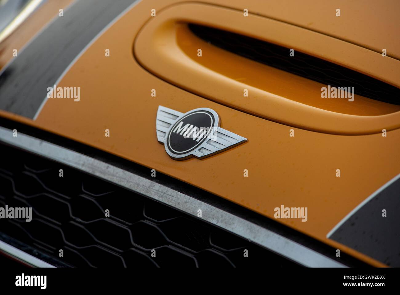 Odintsovo, Russia. 17th Feb, 2024. The logo of the Mini Cooper brand on ...