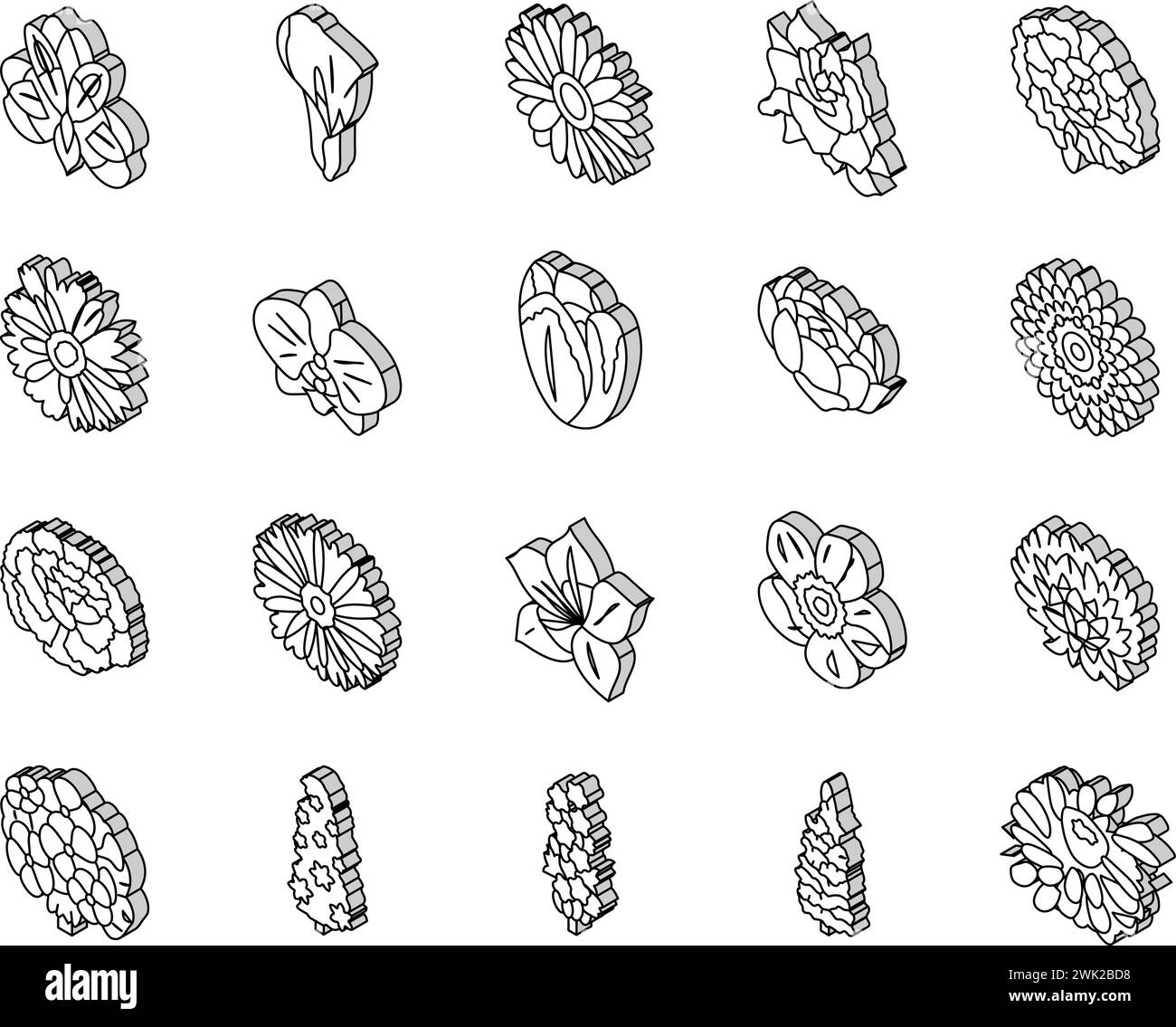 flower spring floral blossom isometric icons set vector Stock Vector ...