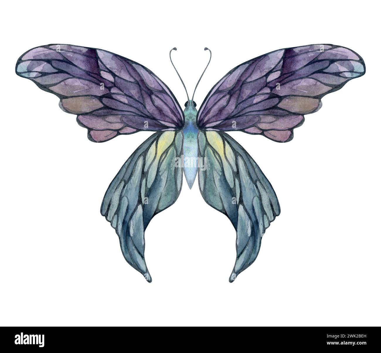 Hand drawn watercolor illustration butterfly fairy wings gem crystal ...