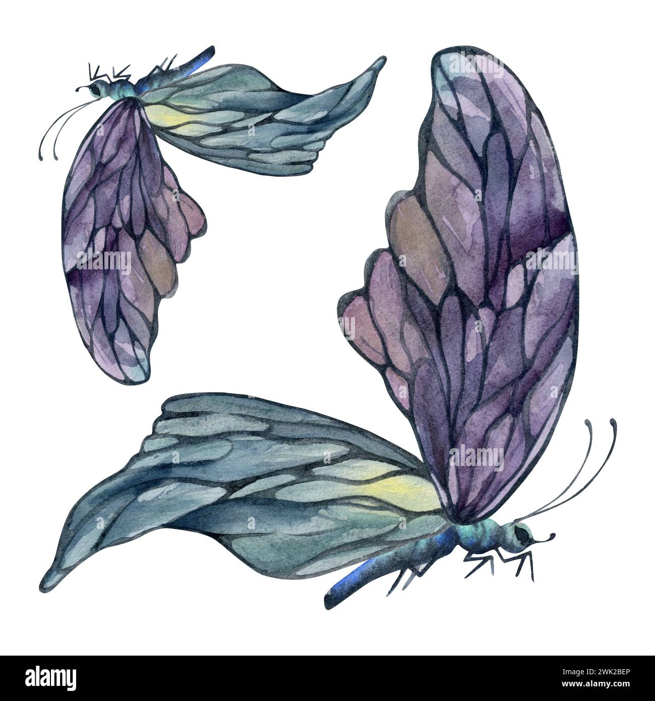 Hand drawn watercolor illustration butterfly fairy wings gem crystal ...