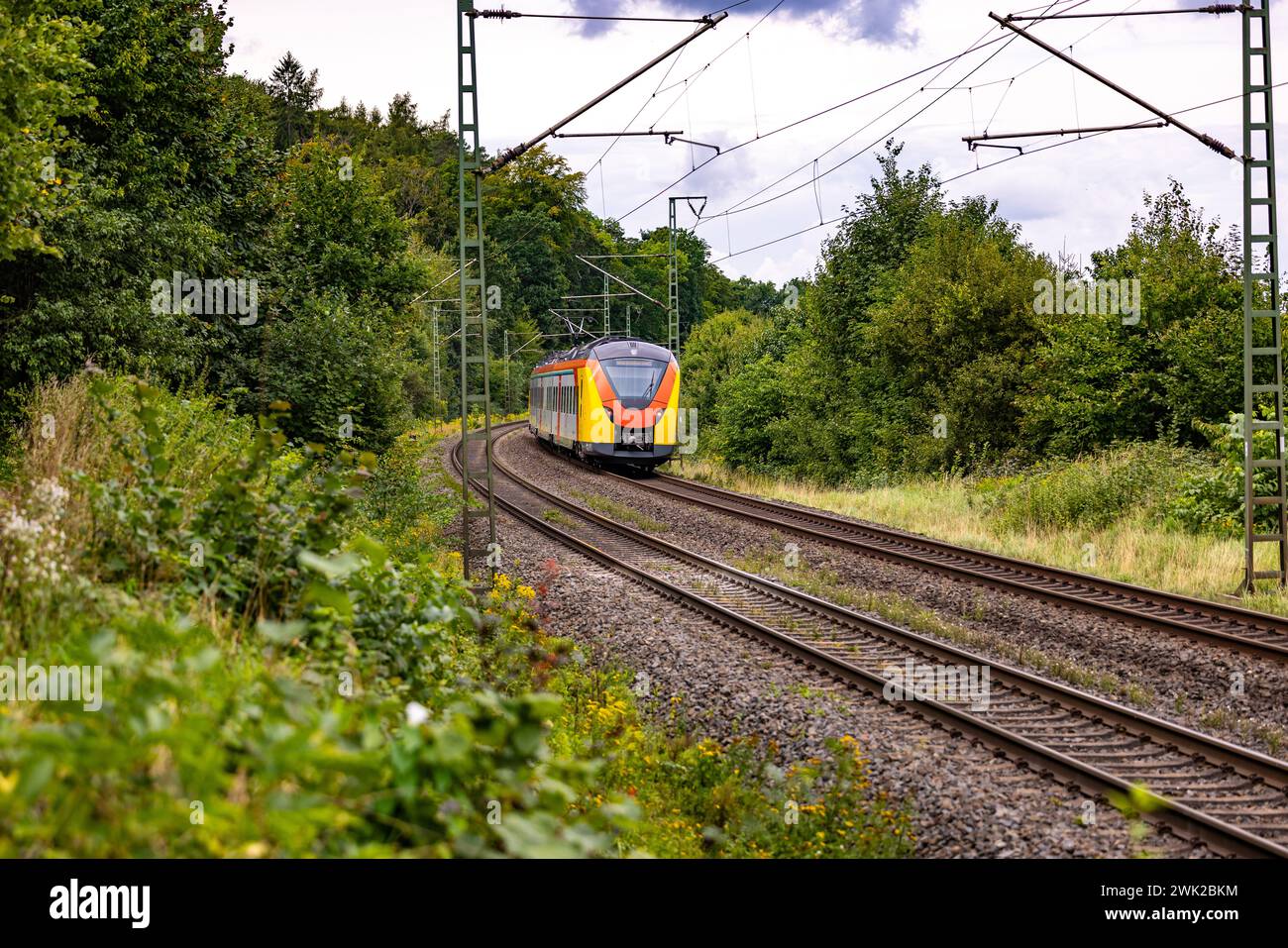 A railroad with railcars carrying passengers in a rural area through a ...