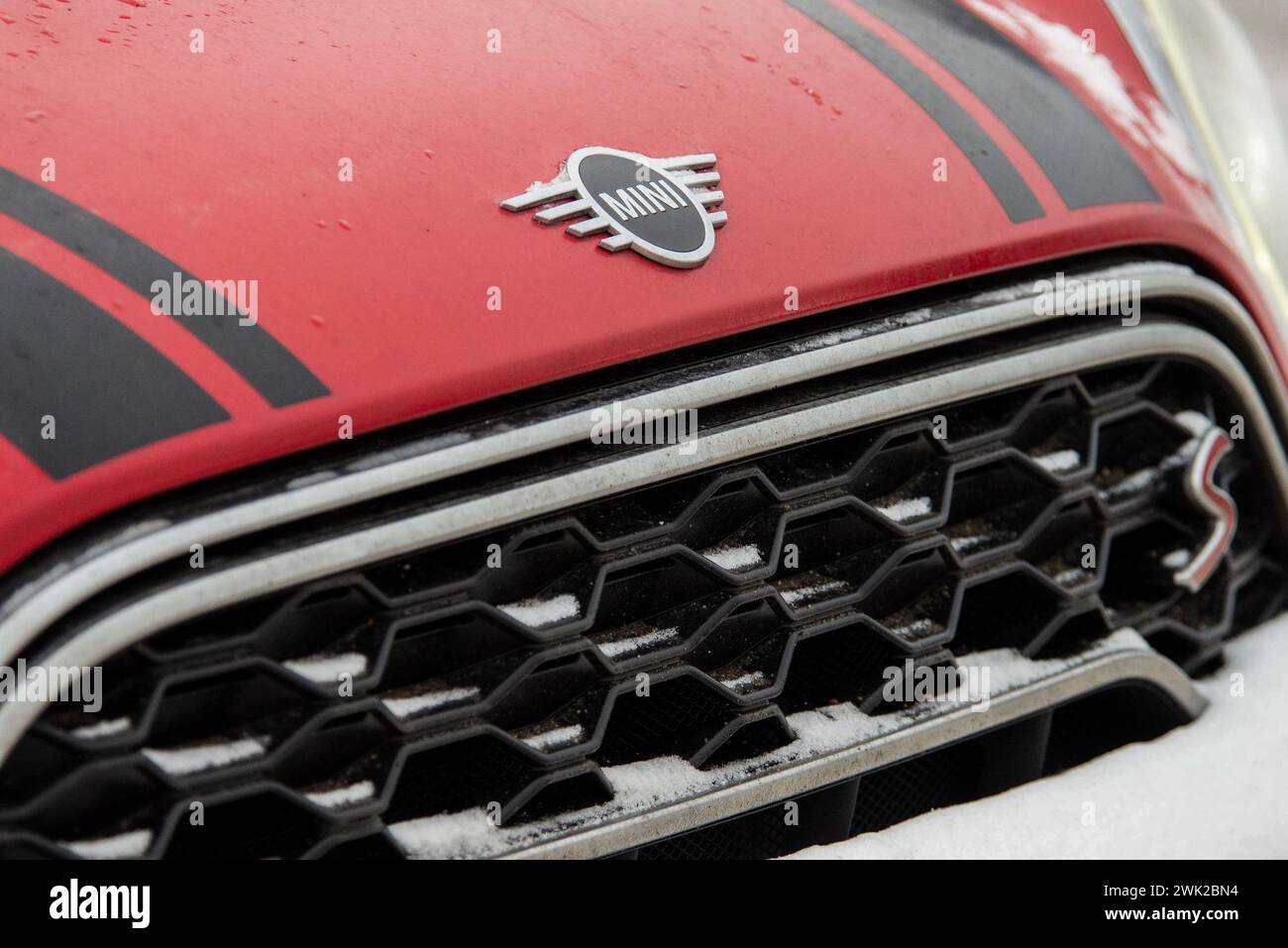 Odintsovo, Russia. 17th Feb, 2024. The Mini Cooper logo on the hood of ...