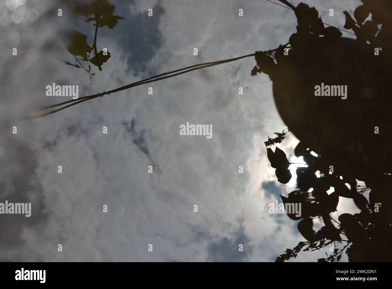 Natural nature, large outdoor puddle with reflection of the sky and ...