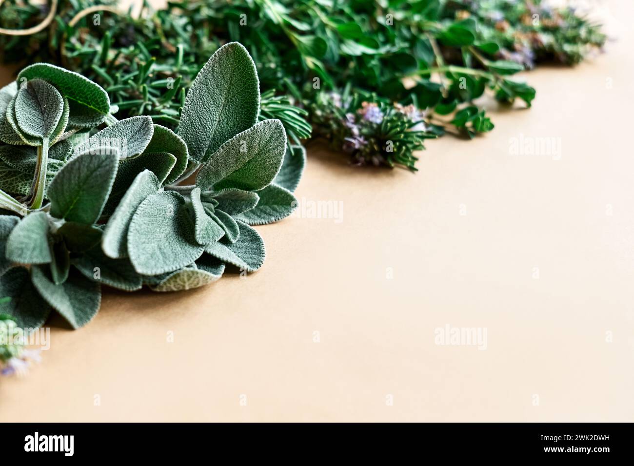 Herbal medicine. Sage, rosemary and oregano on craft paper. Preparation ...