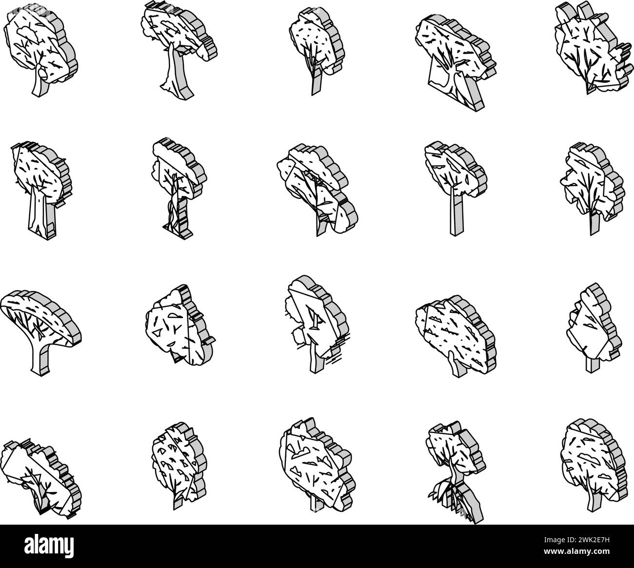 rainforest jungle amazon nature isometric icons set vector Stock Vector ...