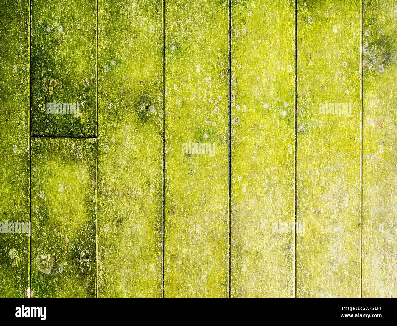 natural green wood texture background Stock Photo - Alamy