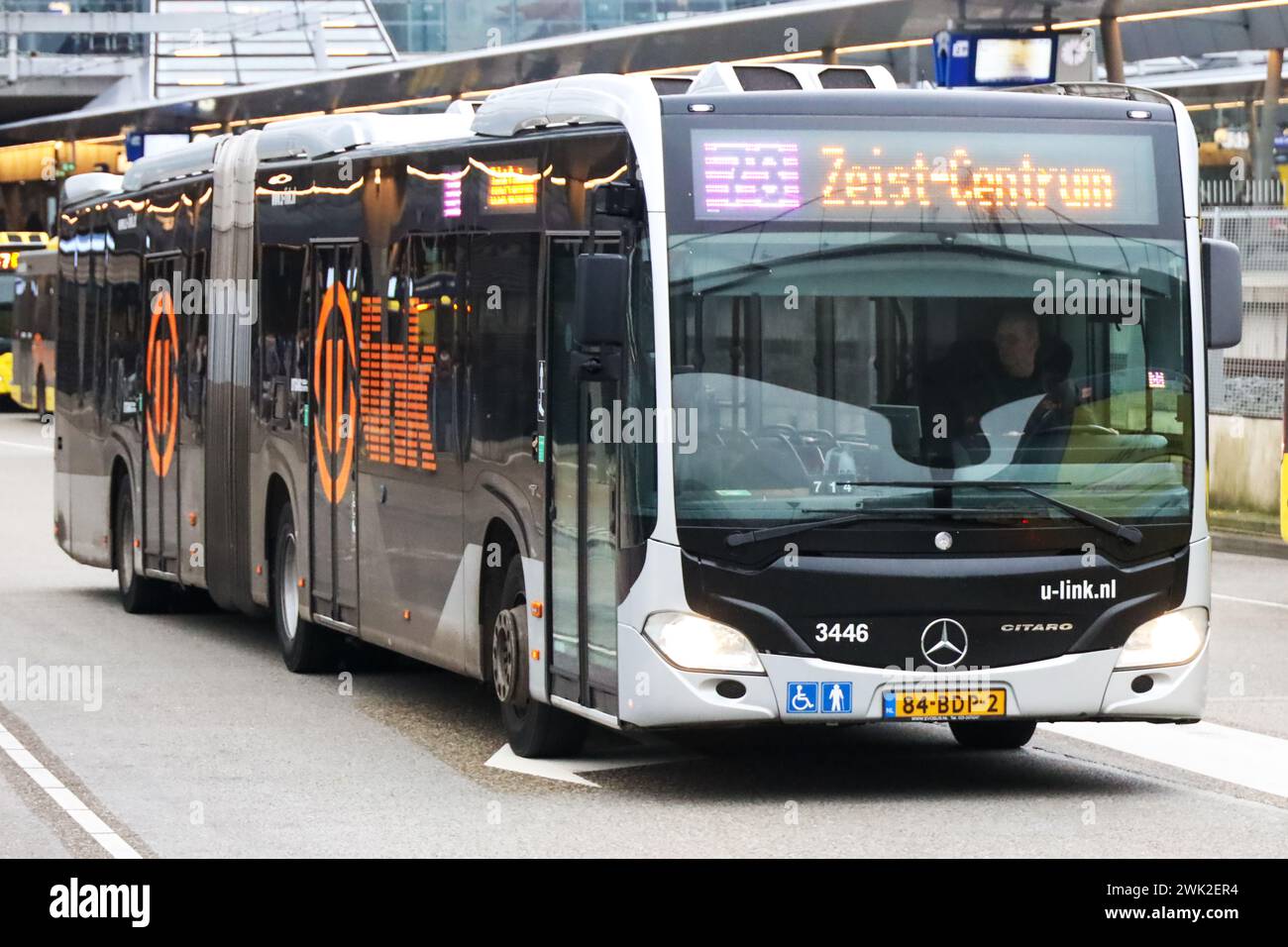 Qlink (Qbuzz) regional buses in utrecht region public transport in the ...