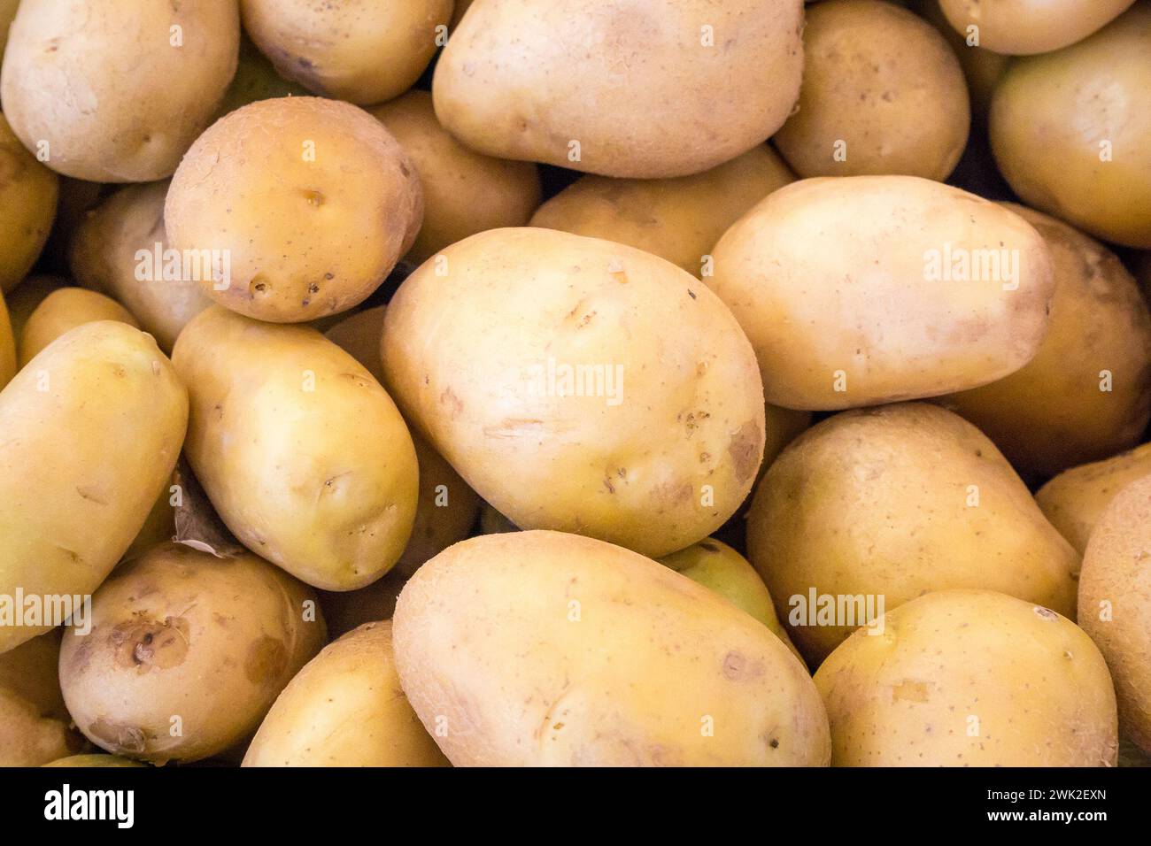 Farmers stand pile potatoes hi-res stock photography and images - Alamy