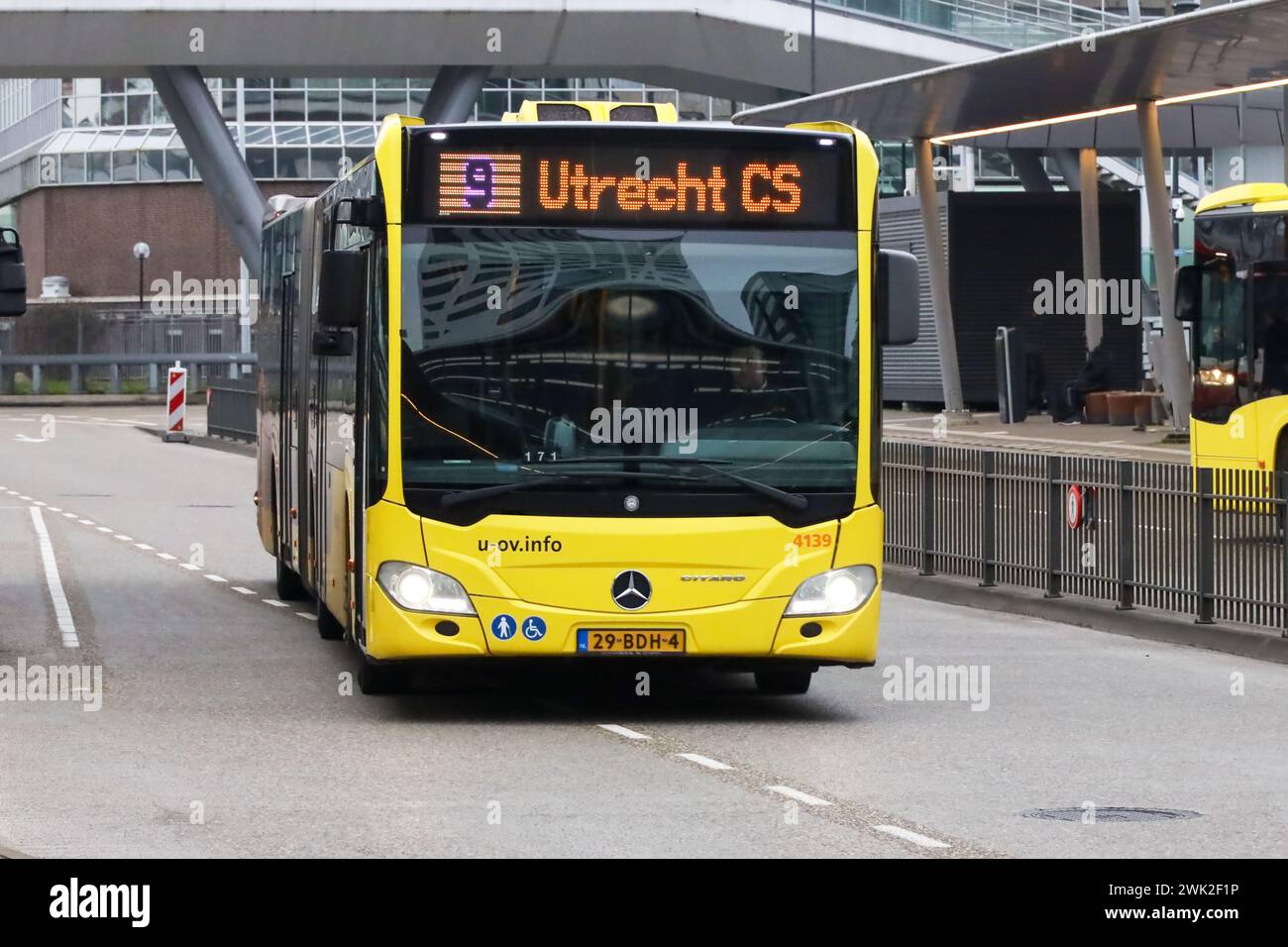 Large articulated electric buses from U-OV for city transport in the ...