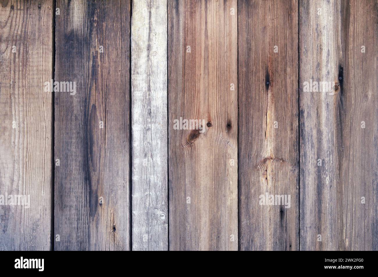 Natural Wood Texture Background. Wood Grained Texture. old scratched ...