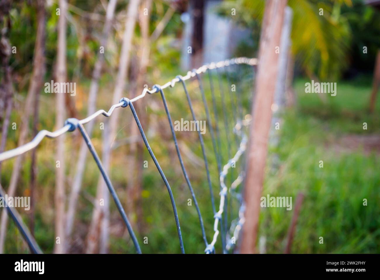 Metal fence wire and green grass Stock Photo - Alamy