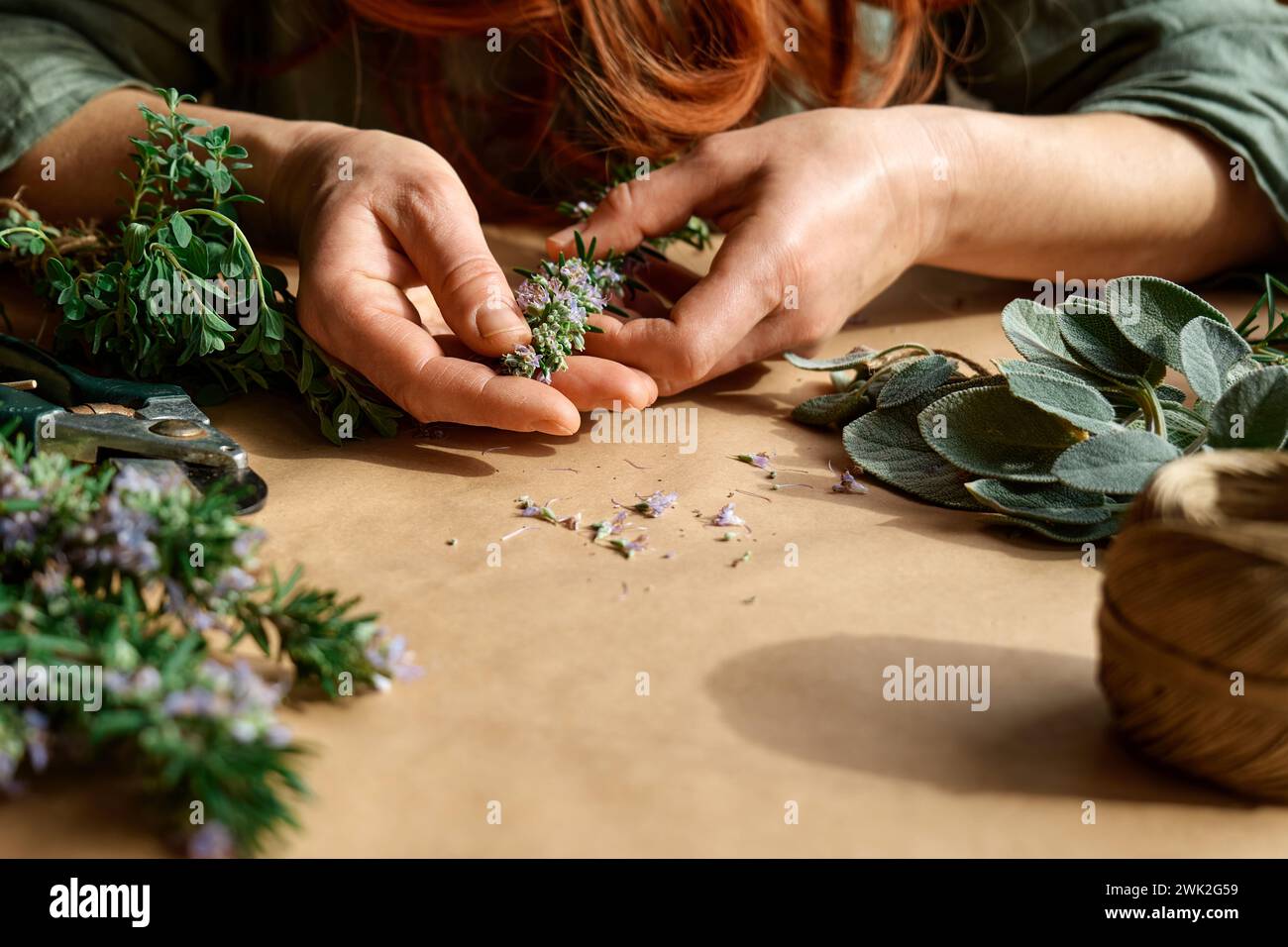 H eco leaf hi-res stock photography and images - Alamy