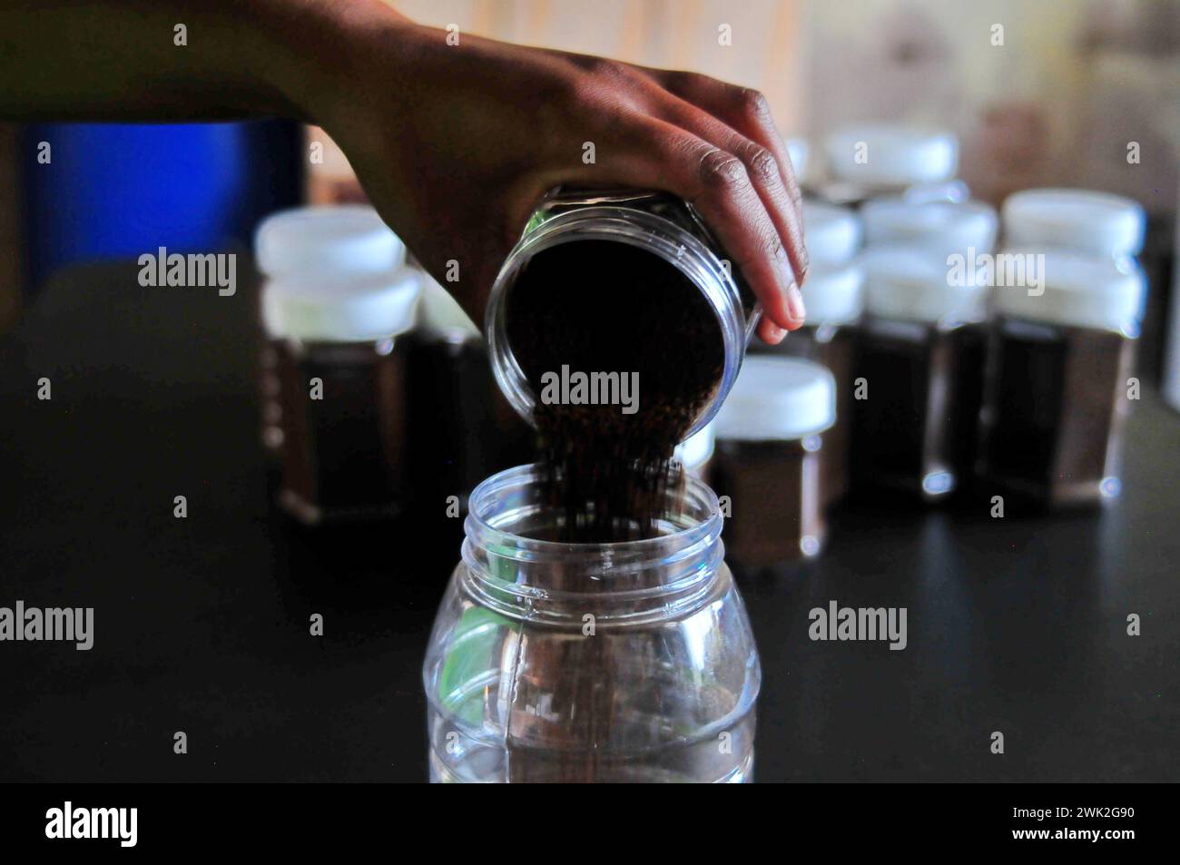 Youth farmer Liza Legodi plants and processes coffee in Ga-Mashashane ... Youth farmer Liza Legodi plants and processes coffee in Ga-Mashashane ...