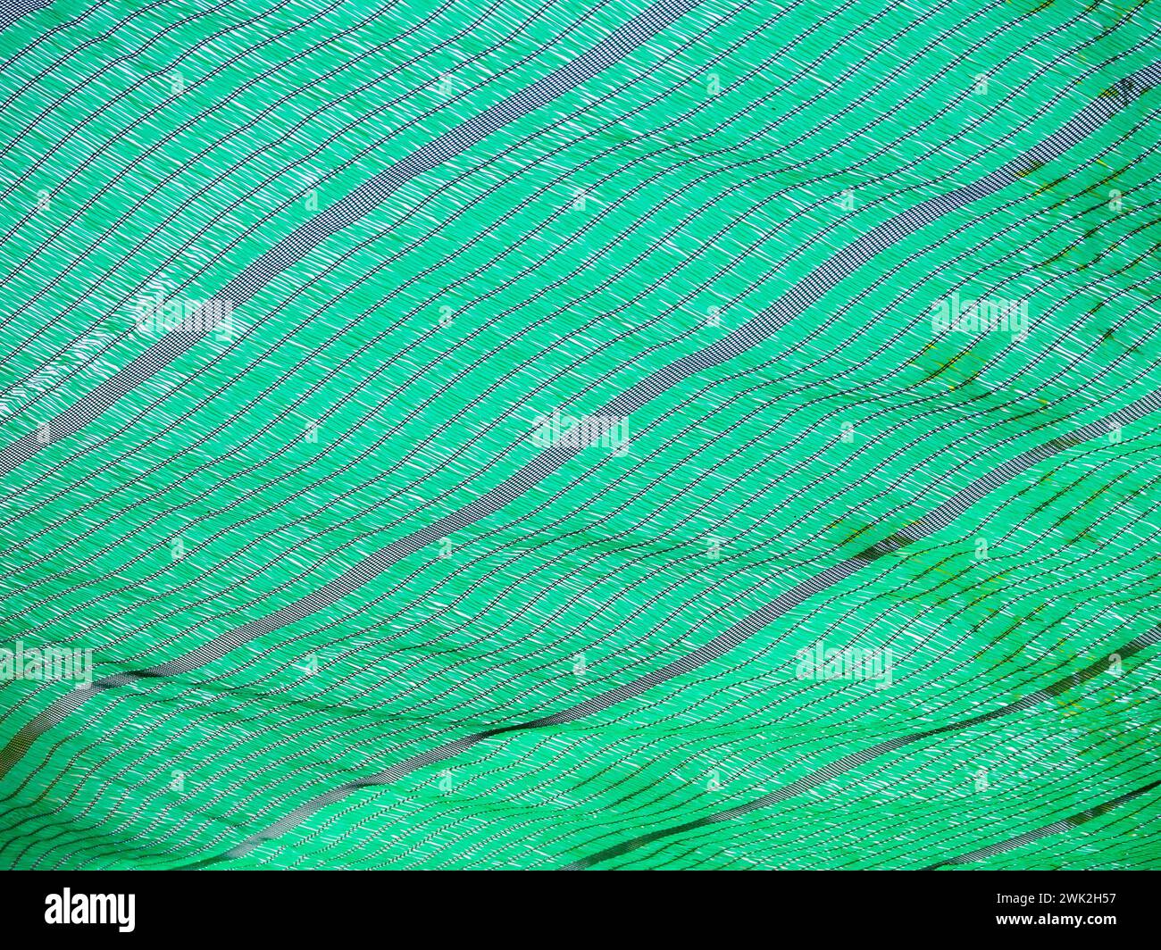Green Shading Net protect sun light Stock Photo - Alamy