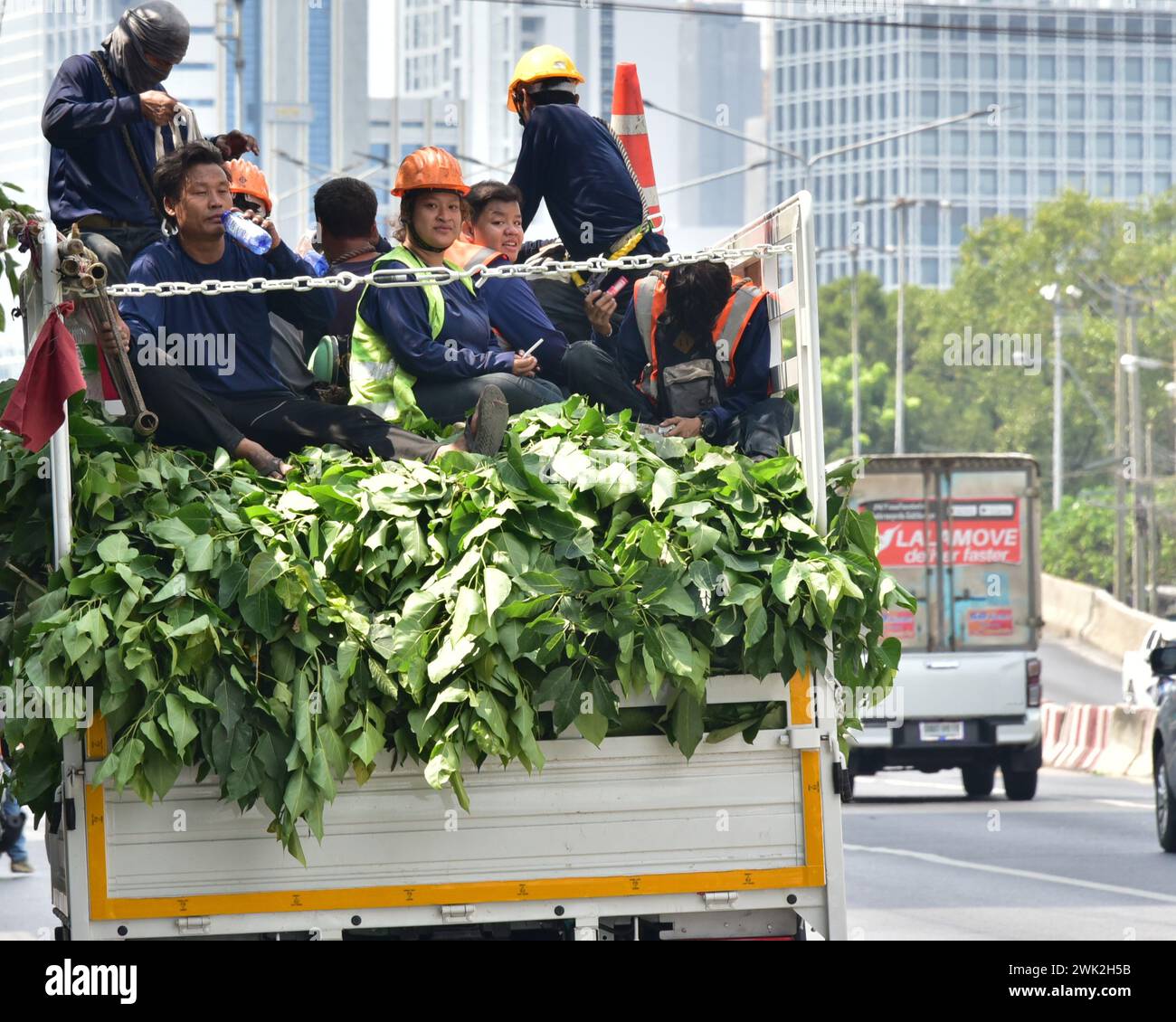 Workers, some in hard hat helmets, sit on a thick bed of leaves on a ...