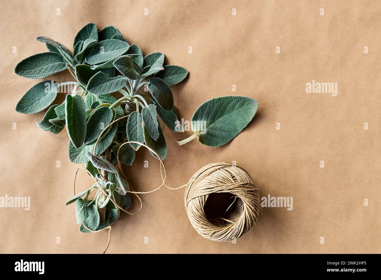 Herbal medicine. Sage and rope on craft paper. Preparation of eco ...