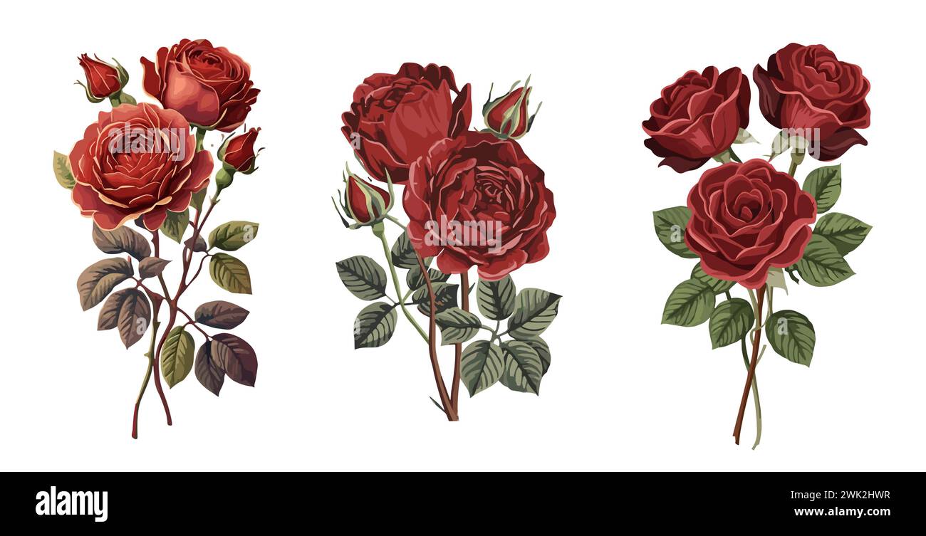 Arrangement of bouquets Stock Vector Images - Alamy