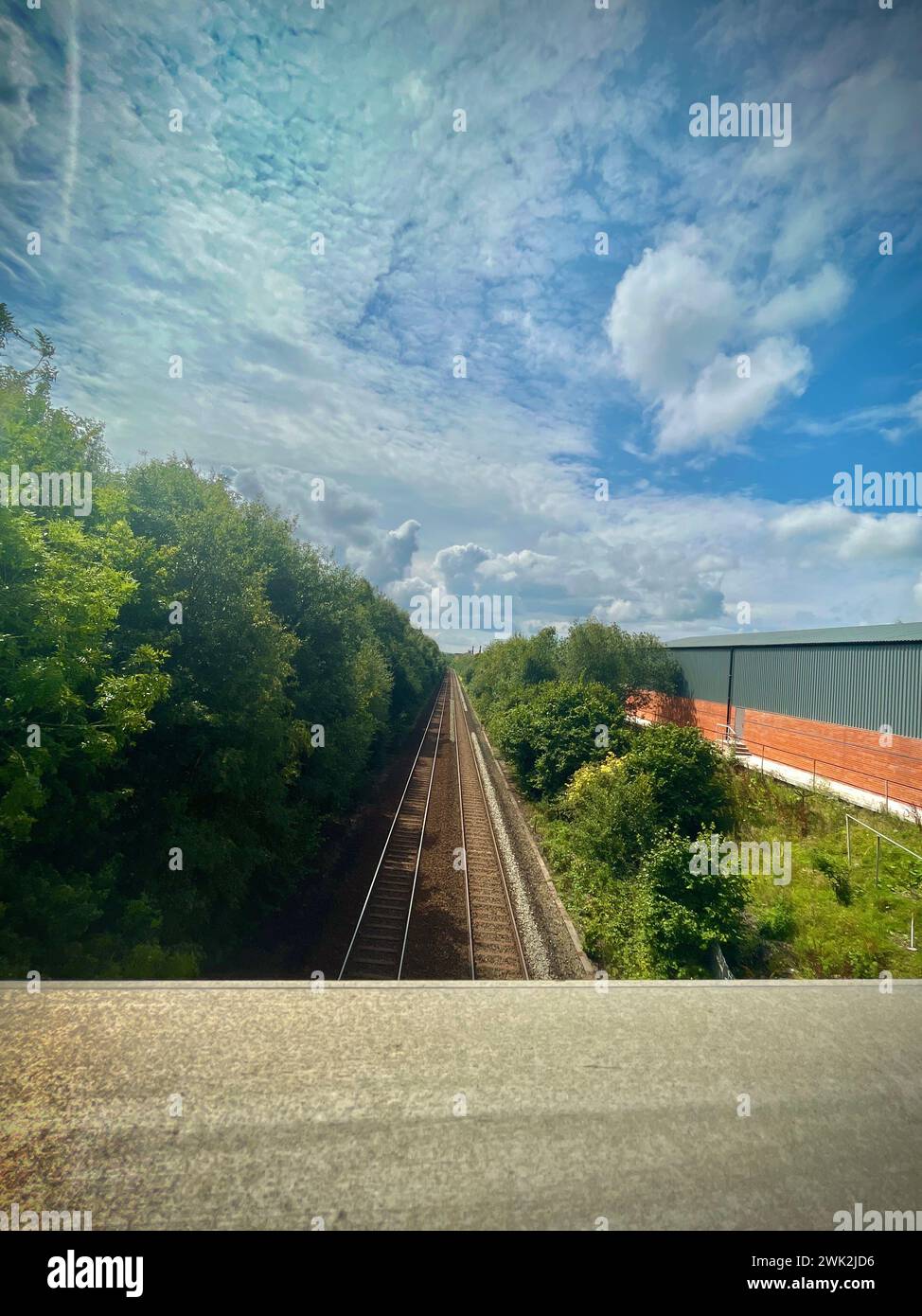 Wide, empty train tracks flanked by trees on both sides Stock Photo - Alamy