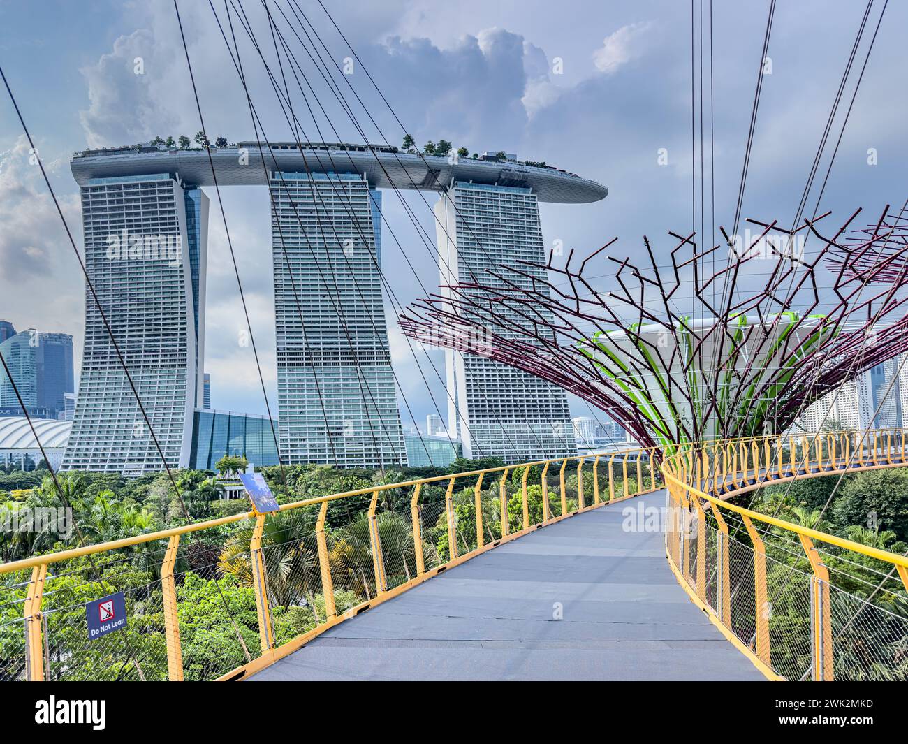 The solar-powered super trees in Gardens by the Bay close to Marina Bay ...