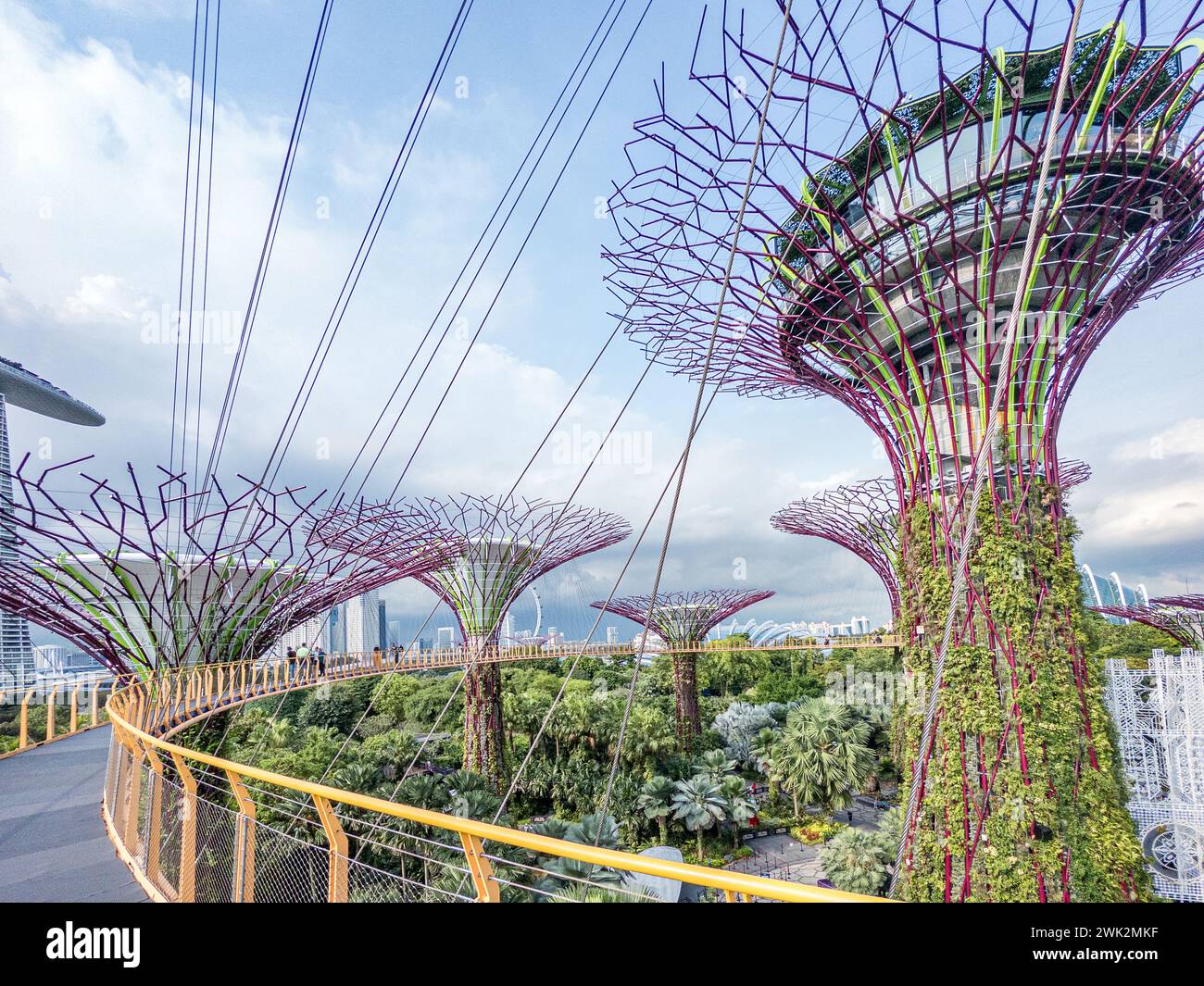 The solar-powered super trees in Gardens by the Bay close to Marina Bay ...
