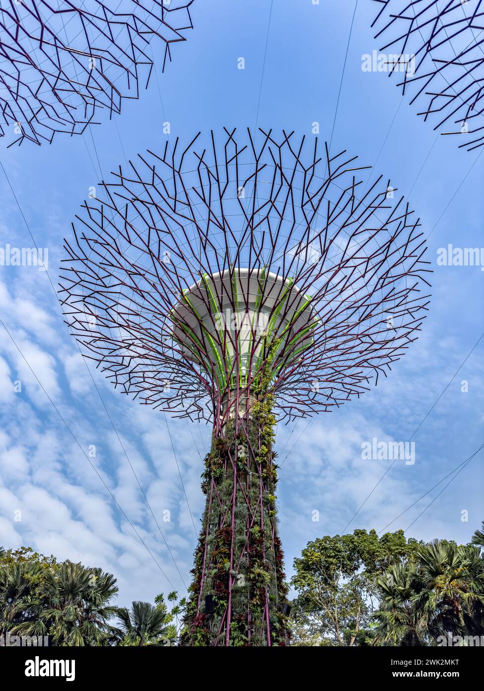 The solar-powered super trees in Gardens by the Bay close to Marina Bay ...
