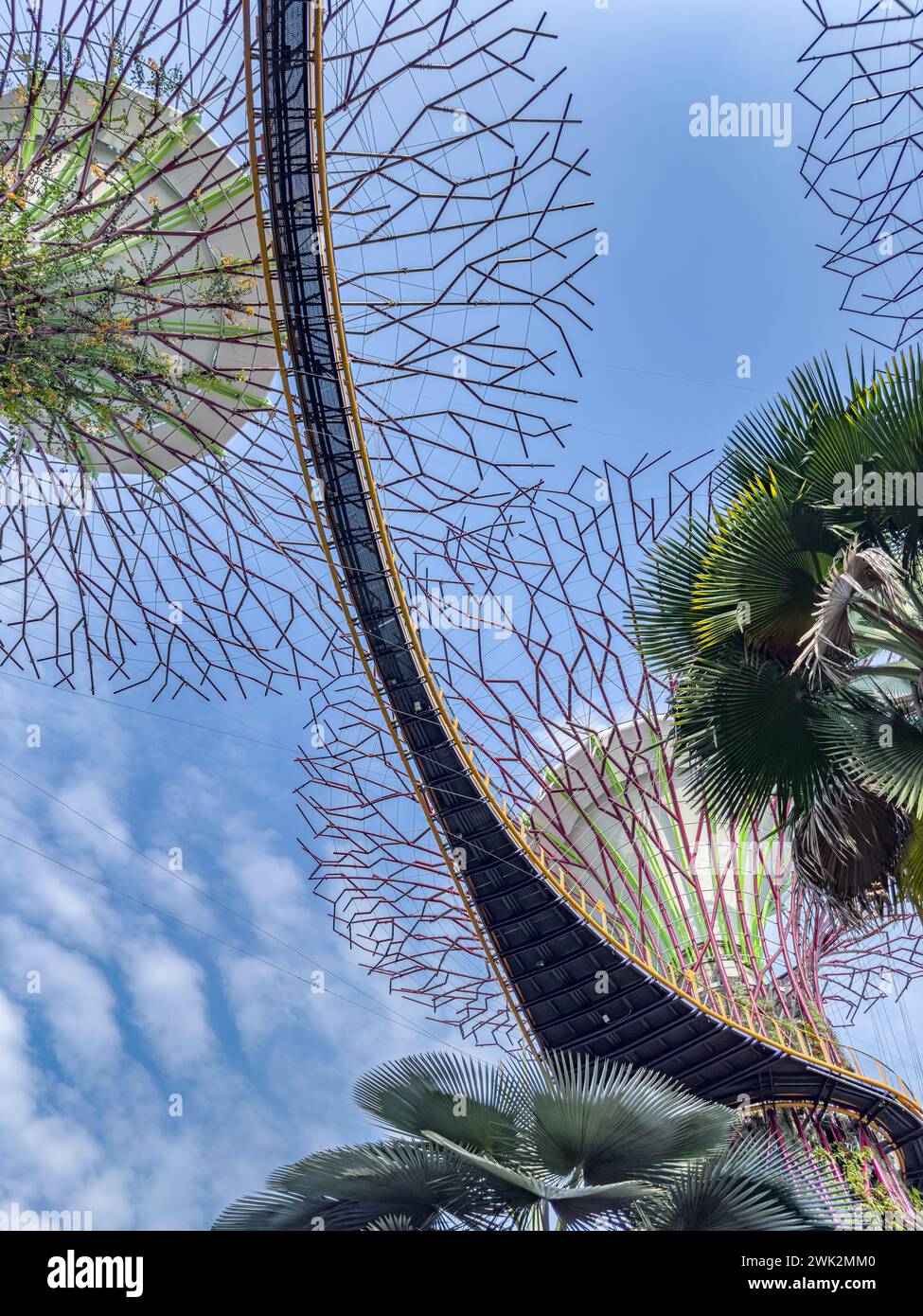 The solar-powered super trees in Gardens by the Bay close to Marina Bay ...