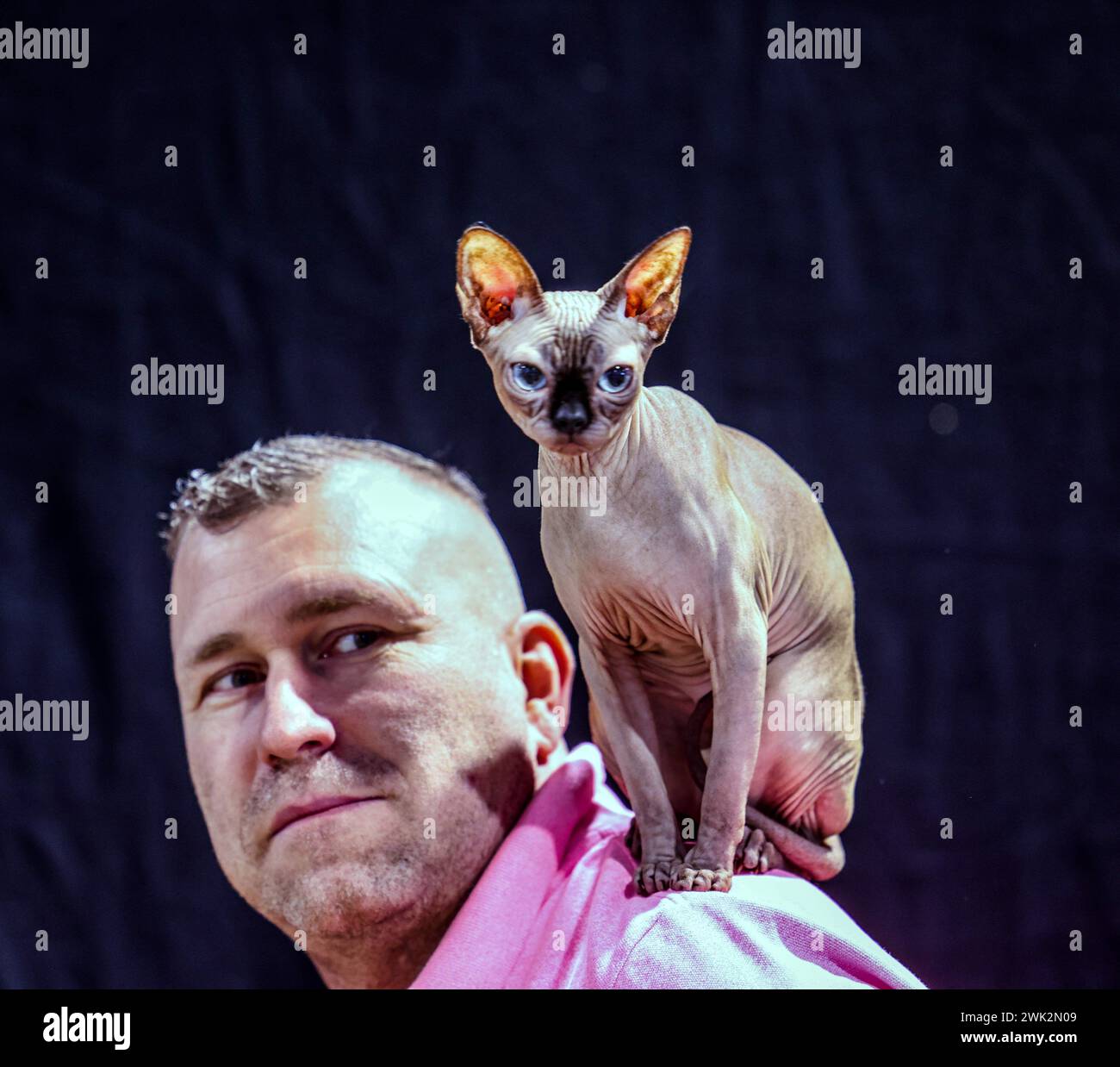 Olympia London 18 Feb 2024 Jack with Zara the Sphynx hairless cat at a ...