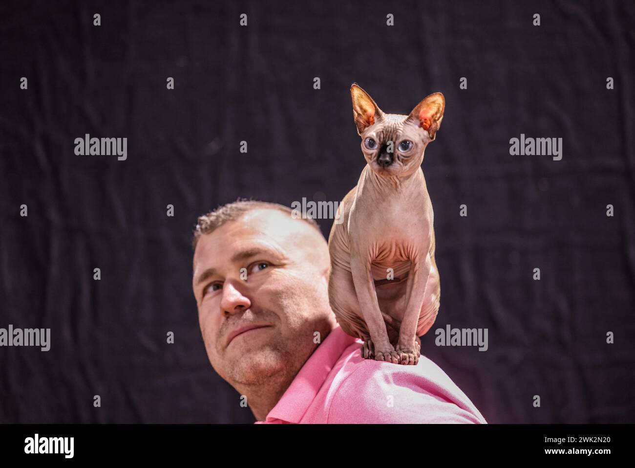 Olympia London 18 Feb 2024 Jack with Zara the Sphynx hairless cat at a ...